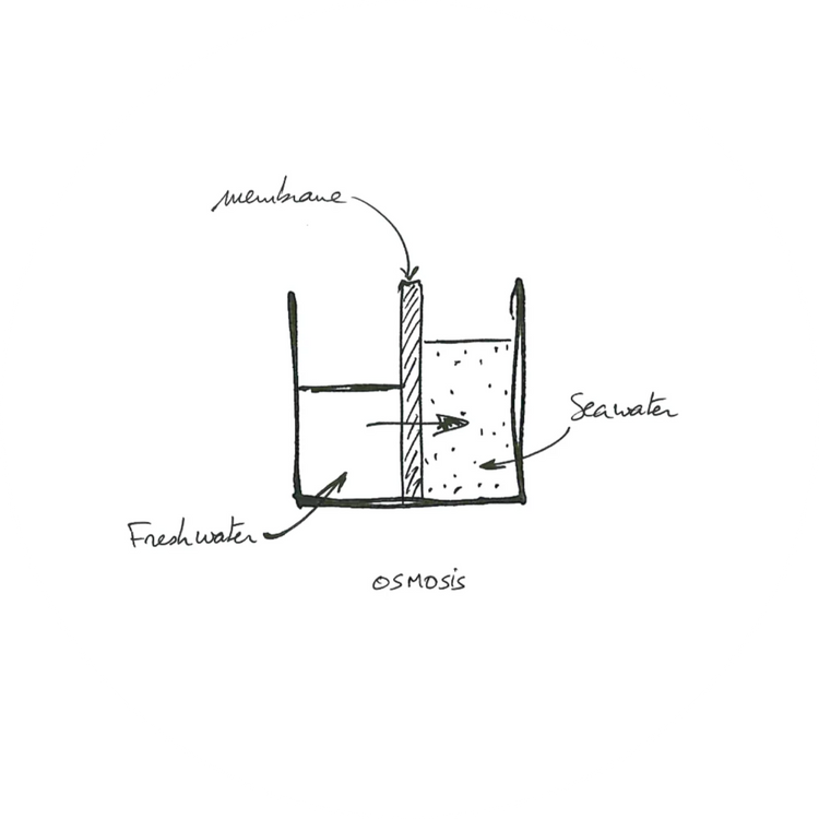 Reverse osmosis principle – SLCE watermakers